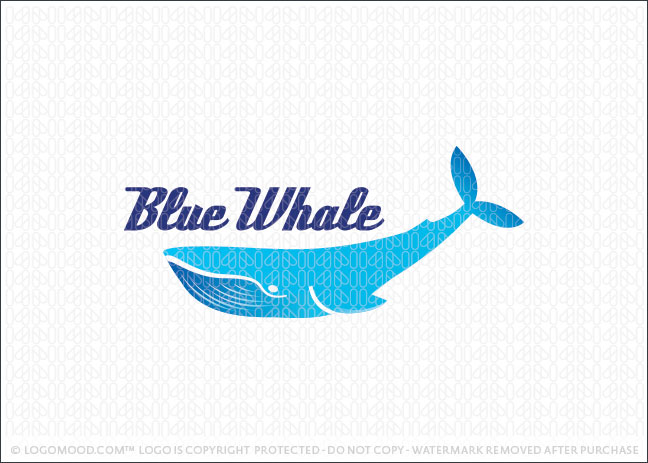 Blue Whale - Buy Premade Readymade Logos for Sale