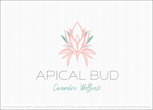 Apical Bud Cannabis - Buy Premade Readymade Logos for Sale
